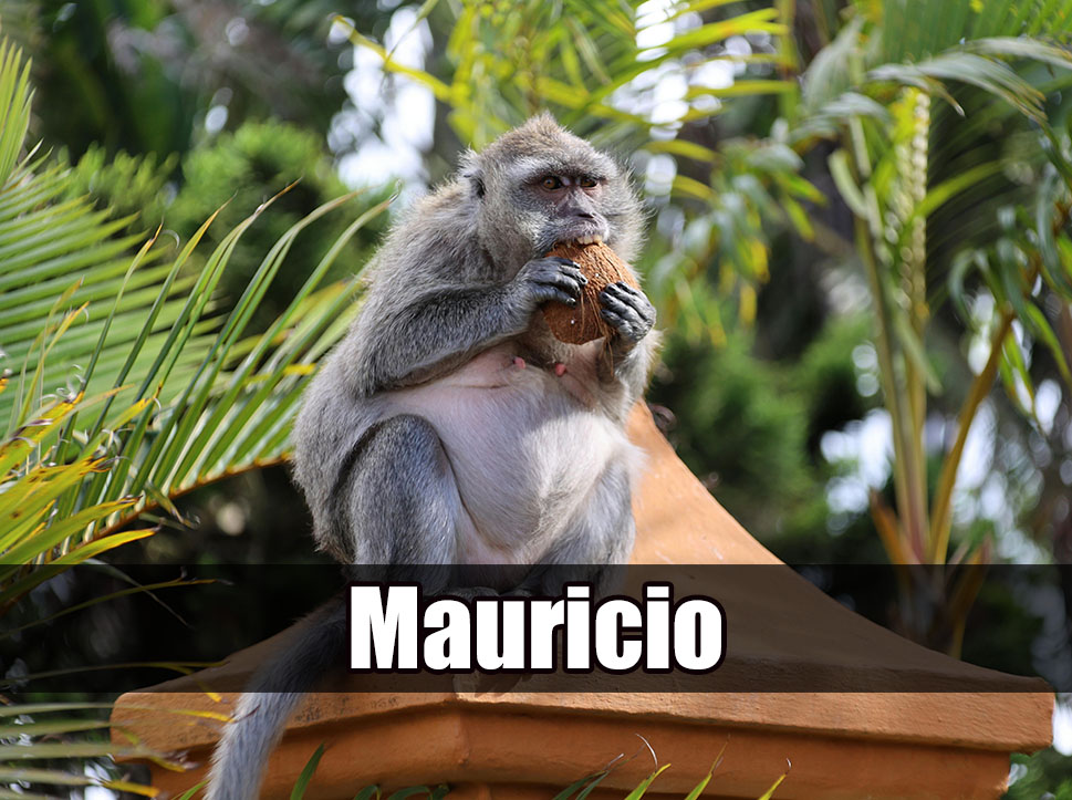 Lugares Turísticos de Mauricio ¿Qué ver y hacer?