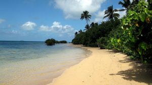 15 Mejores Lugares para Conocer en Tonga